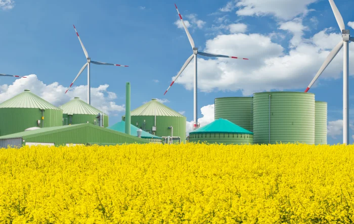 Cogeneration | PowerUp – Parts for Gas-engines